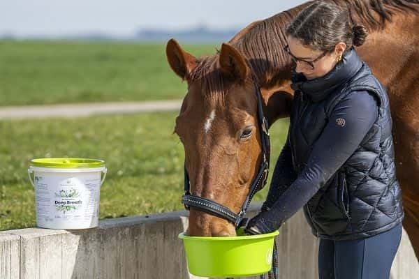 Dr. Schaette Pferd | Produkt-Test Dr. Schaette Deep Breath